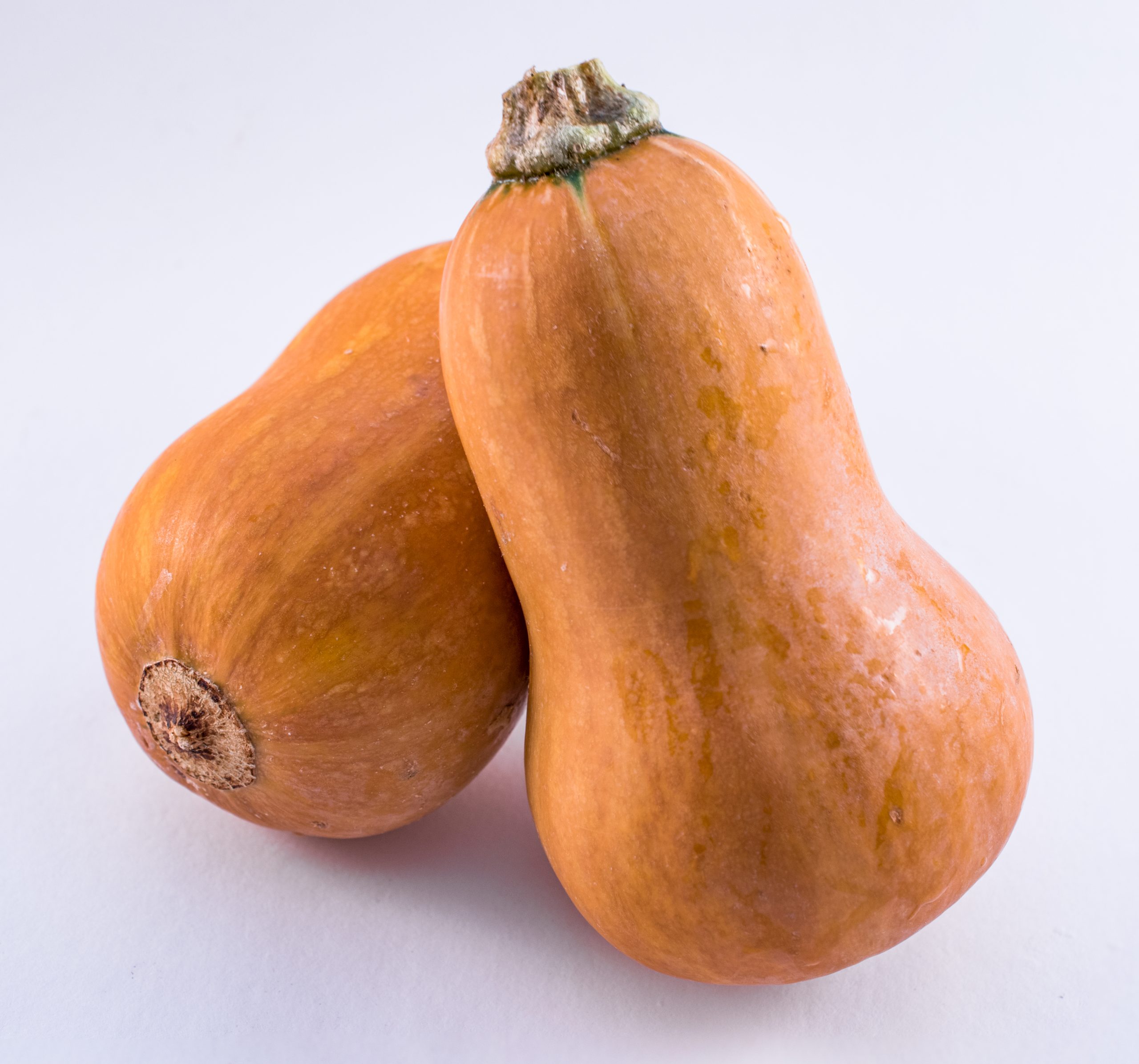 *Local - Squash - Honeynut* | Angelo's Italian Bakery And Market